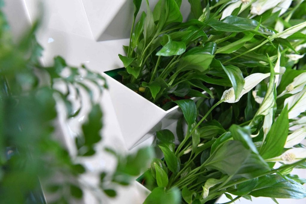 BioMontage Live! A Self-Watering DIY Living Wall Planter - Pottery Designs