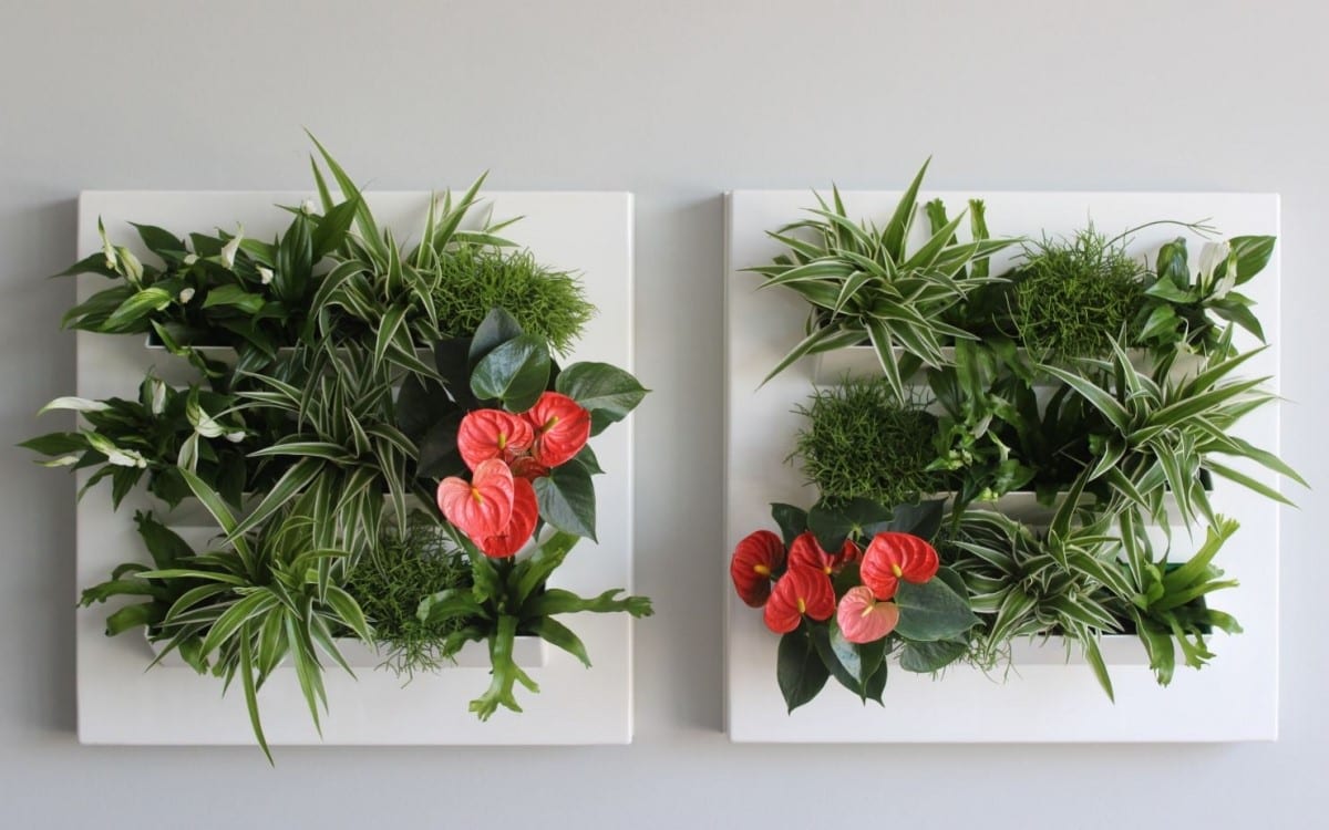 BioMontage Live! A Self-Watering DIY Living Wall Planter - Pottery Designs